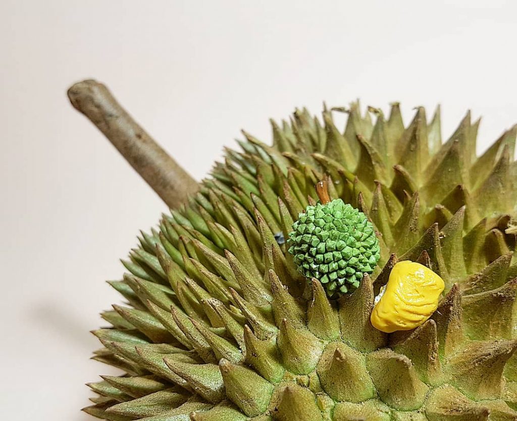 I made Durian! :) | TinyPinc